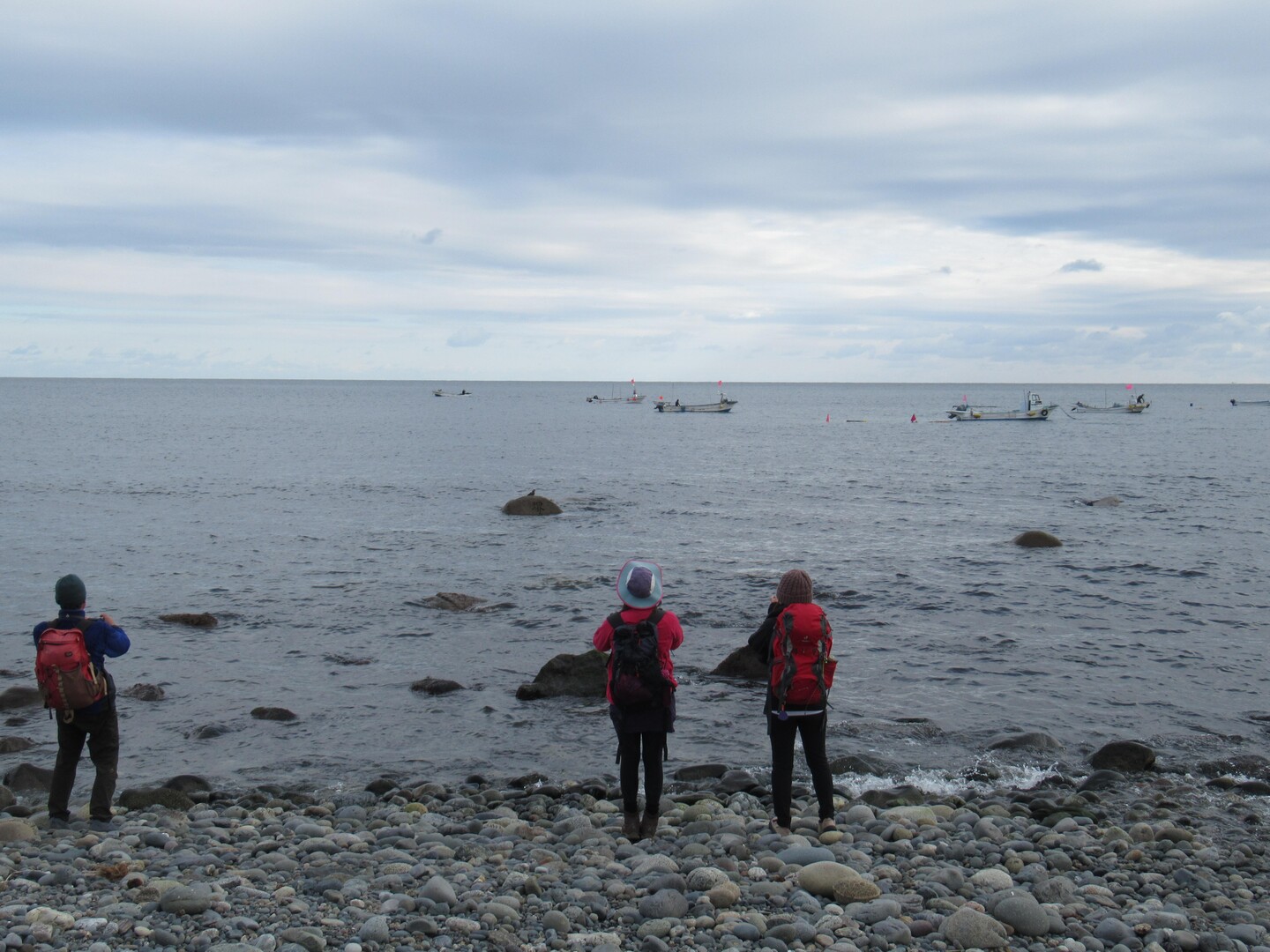 MCT角の浜から種差海岸まで / シープさんのみちのく潮風トレイル 八戸市ルートの活動日記 | YAMAP / ヤマップ