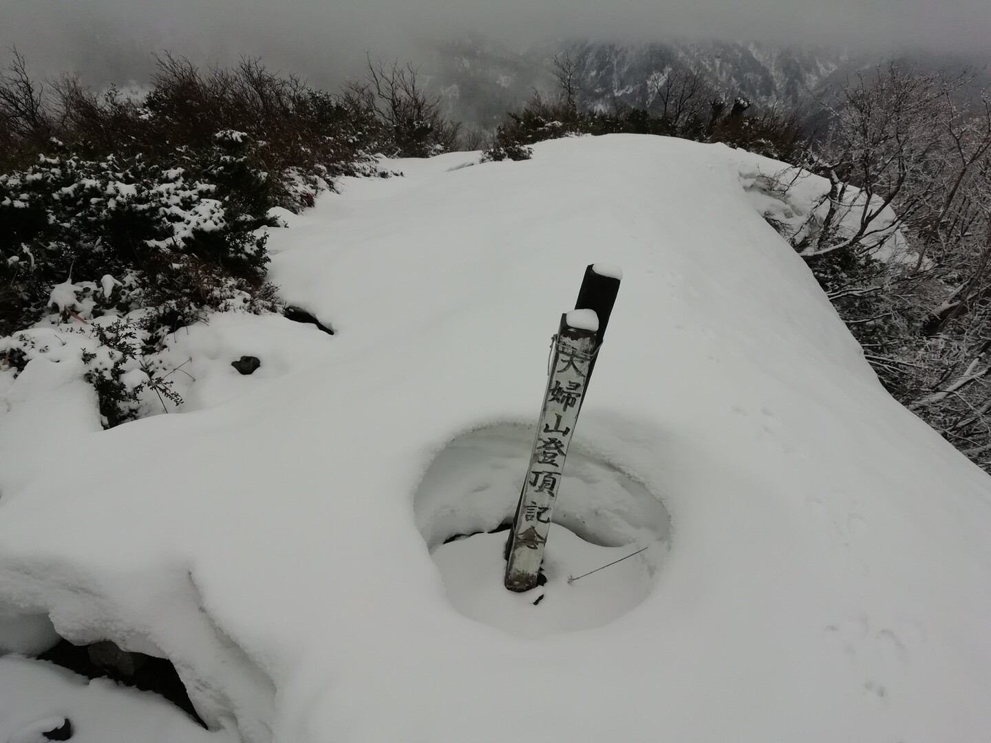 夫婦山 / yamanobu さんの夫婦山・祖父岳の活動データ | YAMAP / ヤマップ