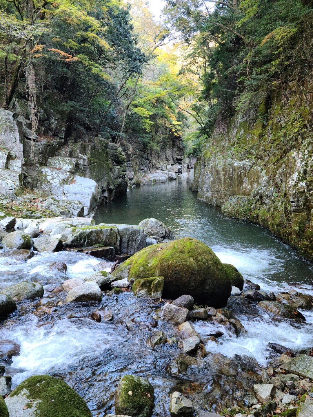 木戸川溪谷散策 / Koikoiさんの五社山の活動データ | YAMAP / ヤマップ
