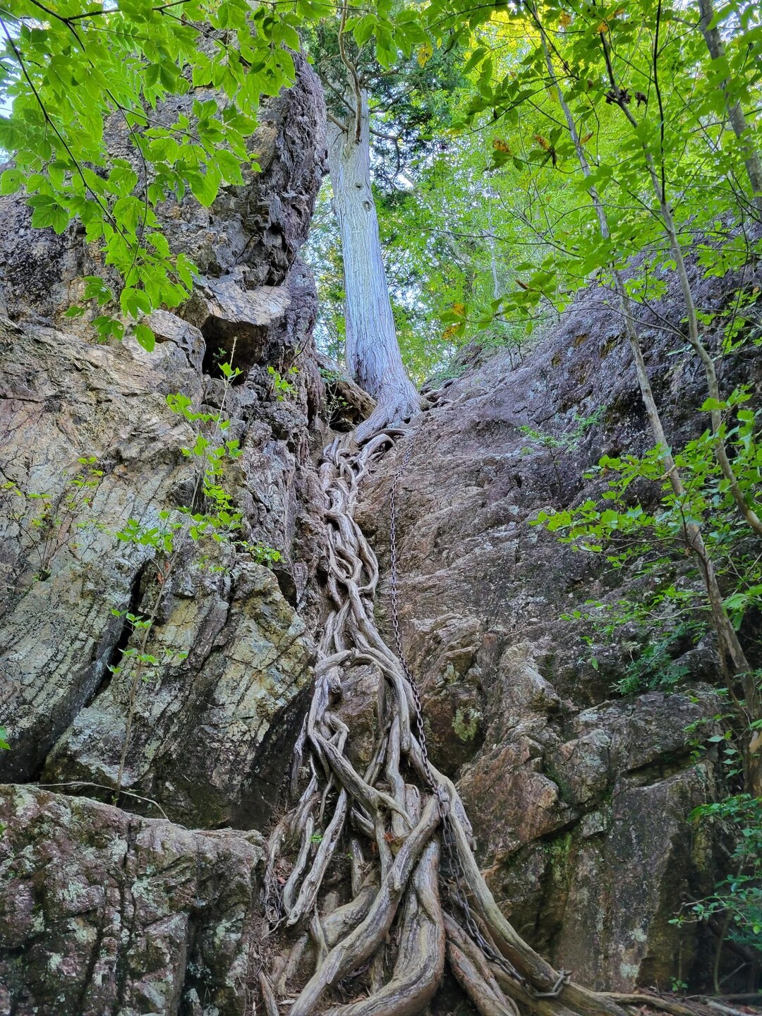 shunさんの投稿したフィールドメモ | YAMAP / ヤマップ