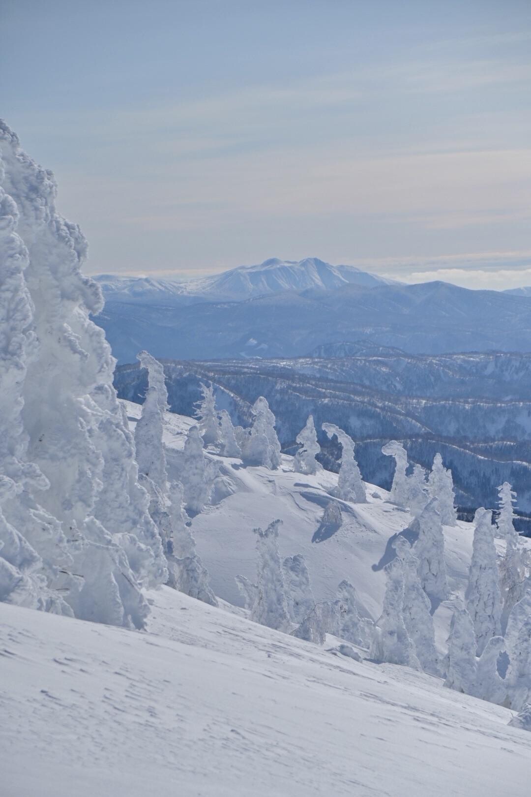 白い巨人の住まう森吉山 / me_holicさんの森吉山の活動データ | YAMAP / ヤマップ