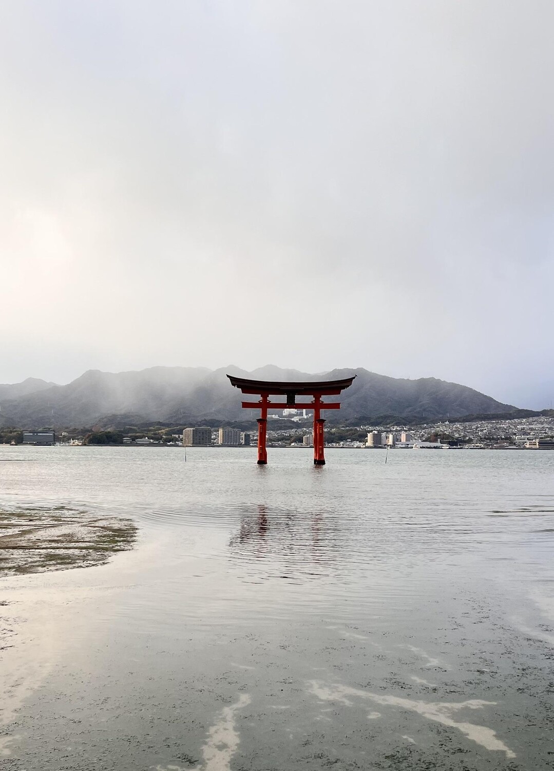 要害山・弥山 / ユーザーJUNさんの宮島（厳島）・弥山の活動データ | YAMAP / ヤマップ