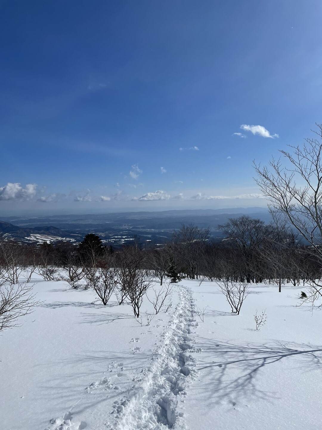不忘山-手前まで2022-01-29 / bateniceさんの蔵王山・雁戸山・不忘山の活動データ | YAMAP / ヤマップ