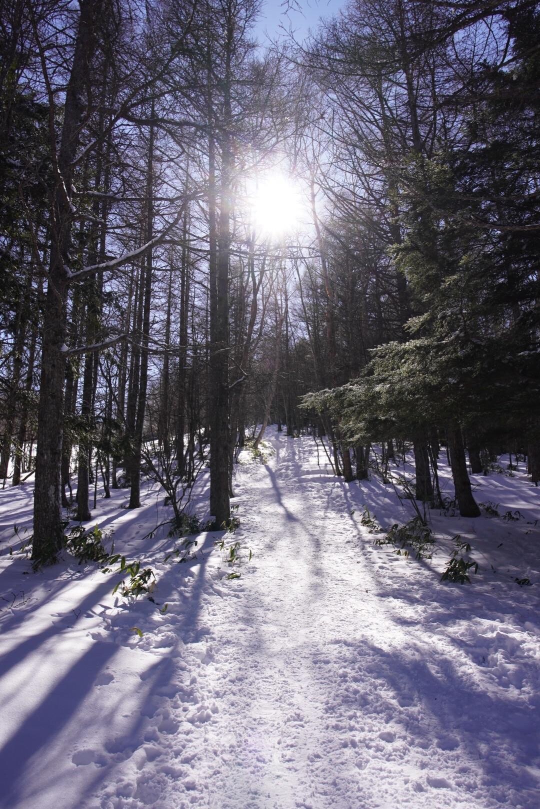 入笠山 / GENKIさんの入笠山の活動データ | YAMAP / ヤマップ