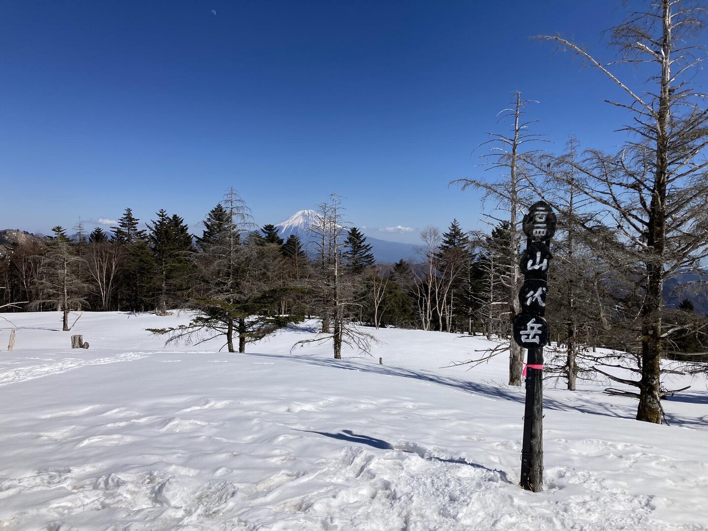 富士山を拝みに•••山伏 / junyaさんの山伏・八紘嶺・笹山の活動データ | YAMAP / ヤマップ