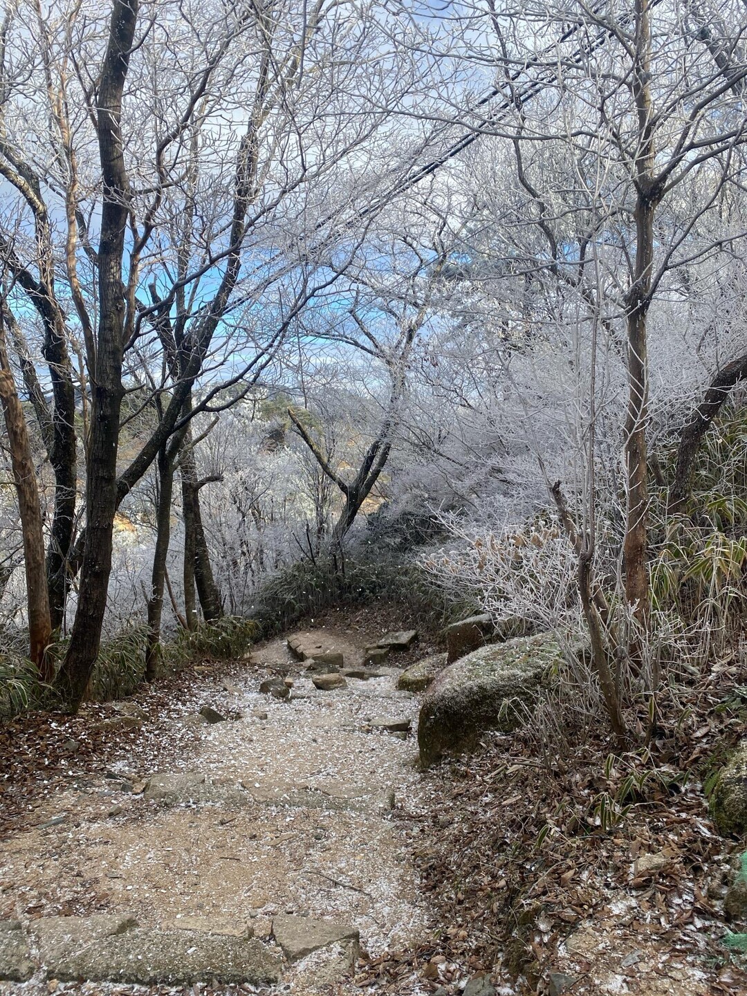 霧氷 ️ / KASABUさんの六甲山・長峰山・摩耶山の活動データ | YAMAP / ヤマップ