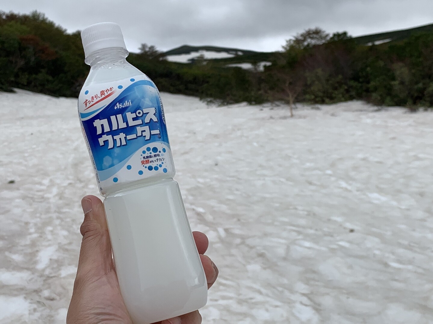 お初のコースで十勝岳BC / bono.さんの十勝岳・富良野岳・美瑛岳の活動データ | YAMAP / ヤマップ
