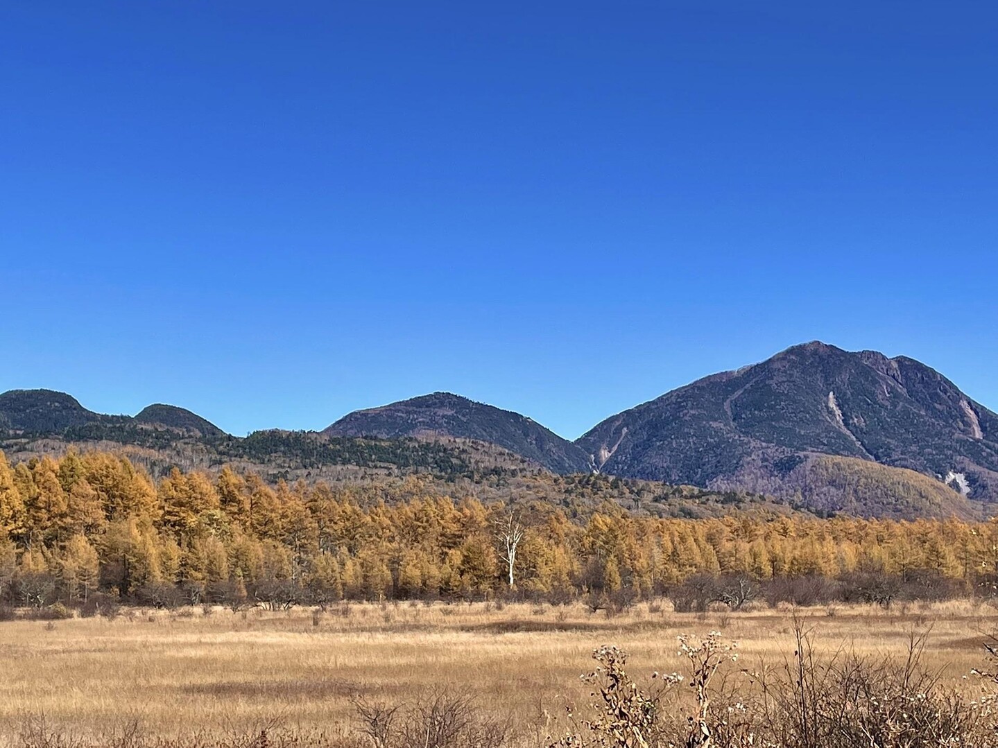 紅葉を見に日光へ。（10/26） 日光は... / megさんのモーメント | YAMAP / ヤマップ