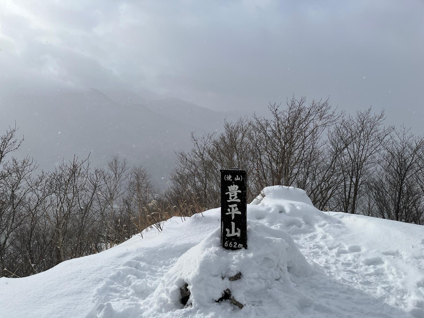 豊平山（焼山）2025-1-11 / muraさんの豊平山（焼山）の活動データ | YAMAP / ヤマップ
