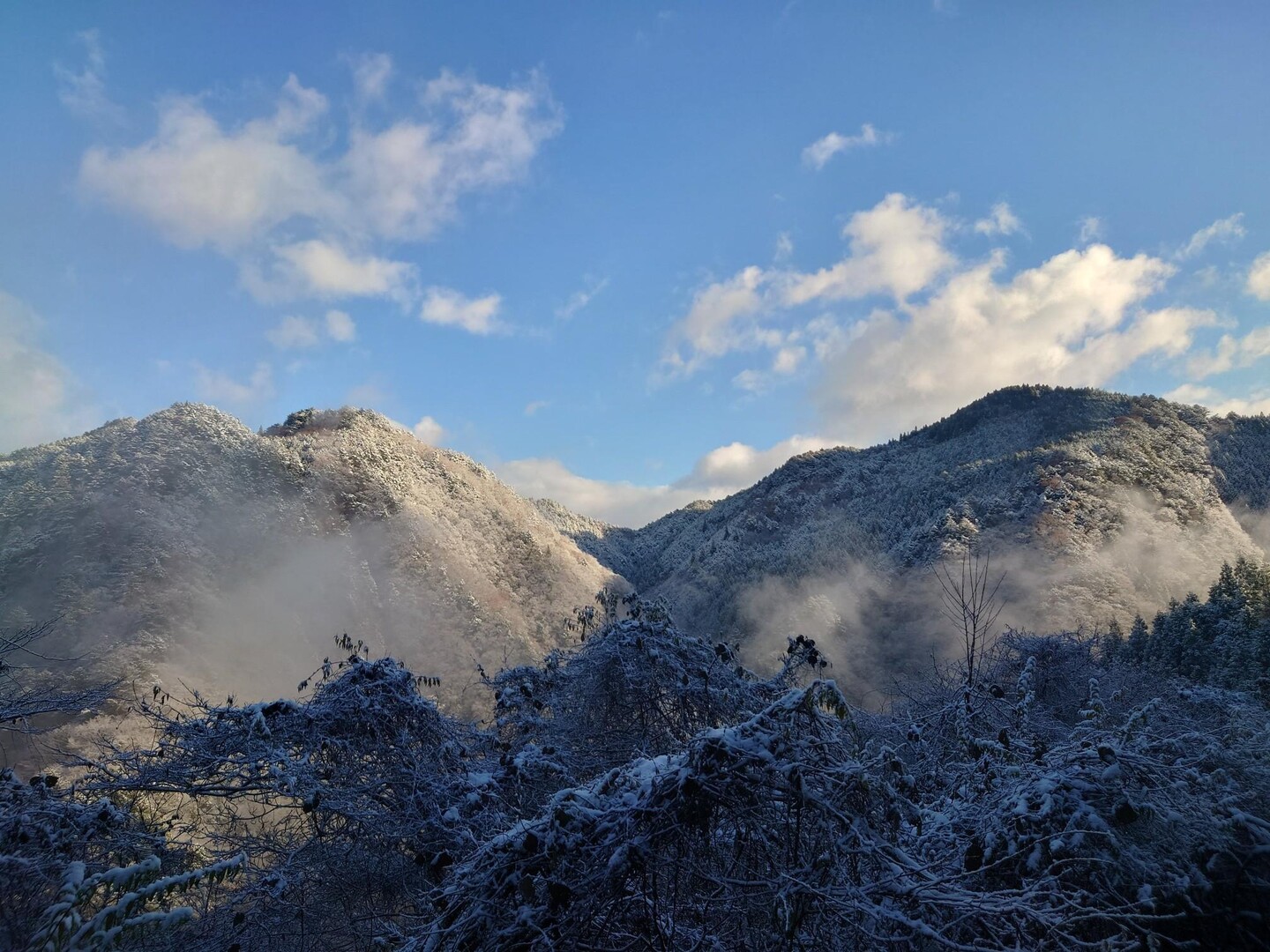 寒波がきたので😊 ドライブに / katsuさんの護摩壇山・龍神岳の活動データ | YAMAP / ヤマップ