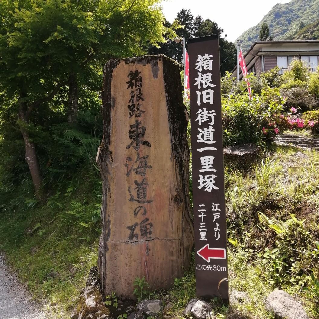 丹沢山-2023-05-27 / ririさんの塔ノ岳・丹沢山・蛭ヶ岳の活動データ | YAMAP / ヤマップ