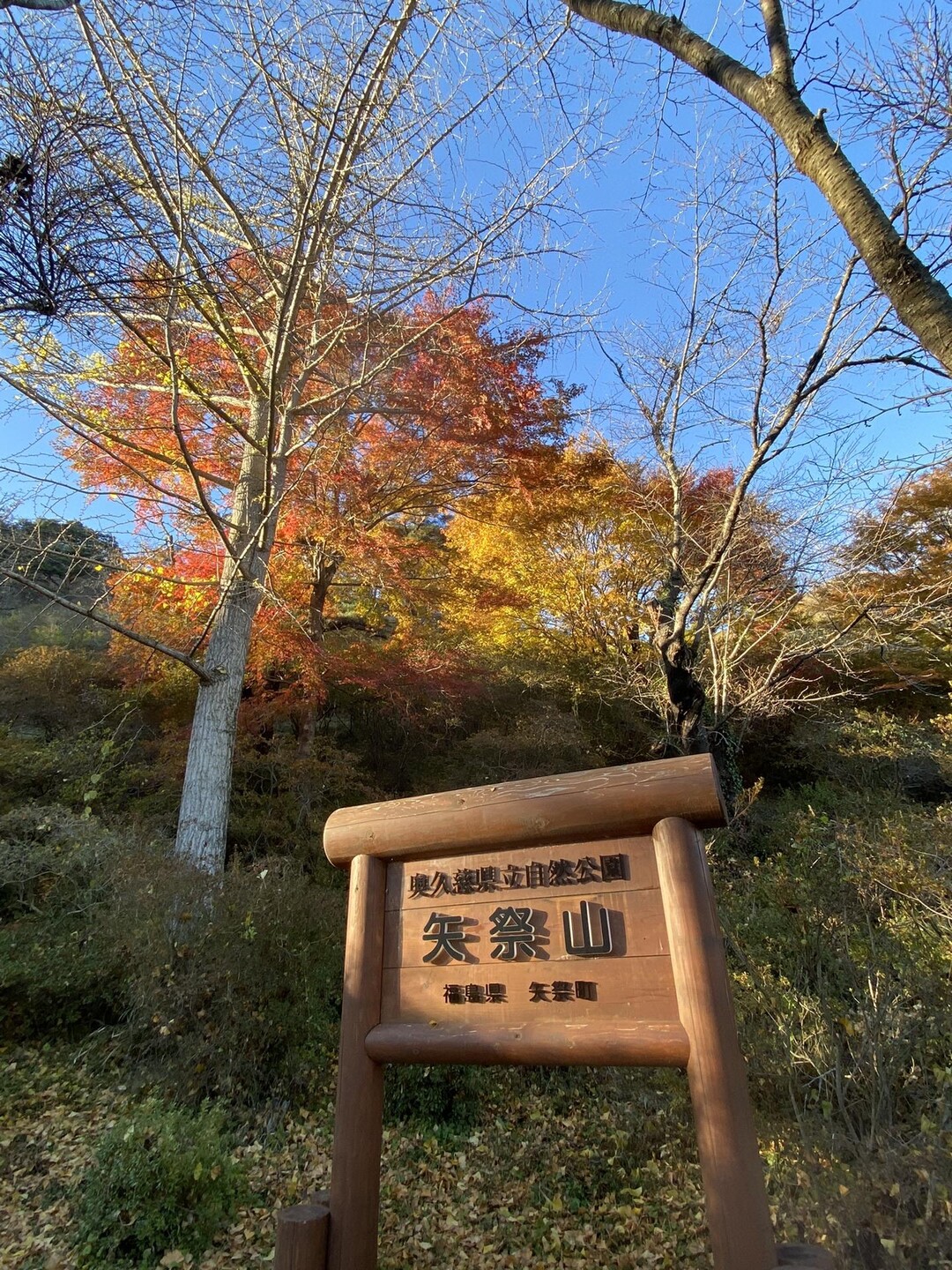 檜山 / wariさんの矢祭山・檜山の活動データ | YAMAP / ヤマップ