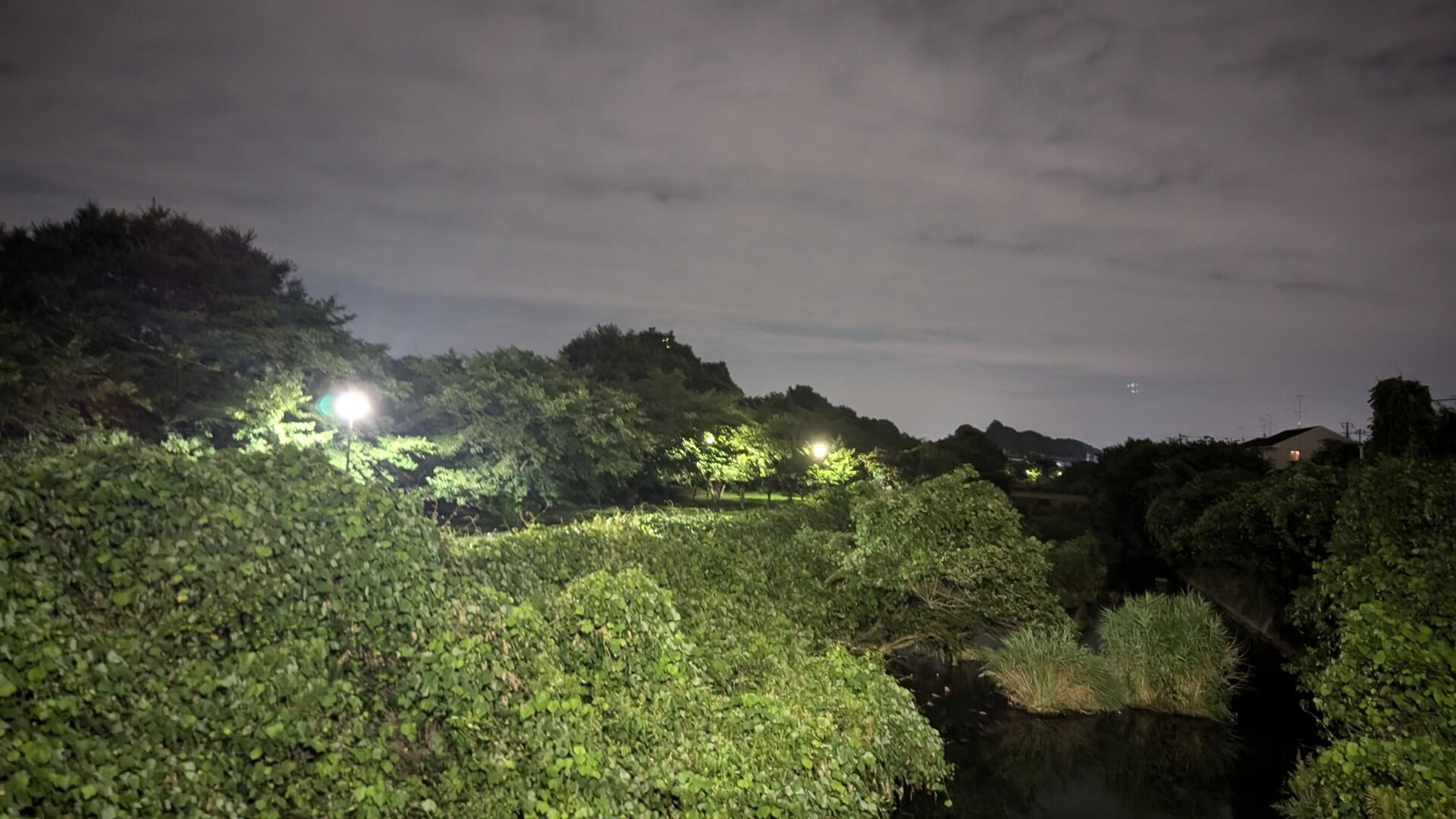 手賀沼ランニング-2024-07-15 / TK54さんのランニングの活動データ | YAMAP / ヤマップ