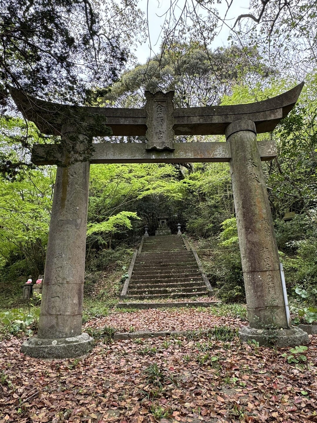 桜山 / Kannaさんの御船山の活動データ | YAMAP / ヤマップ