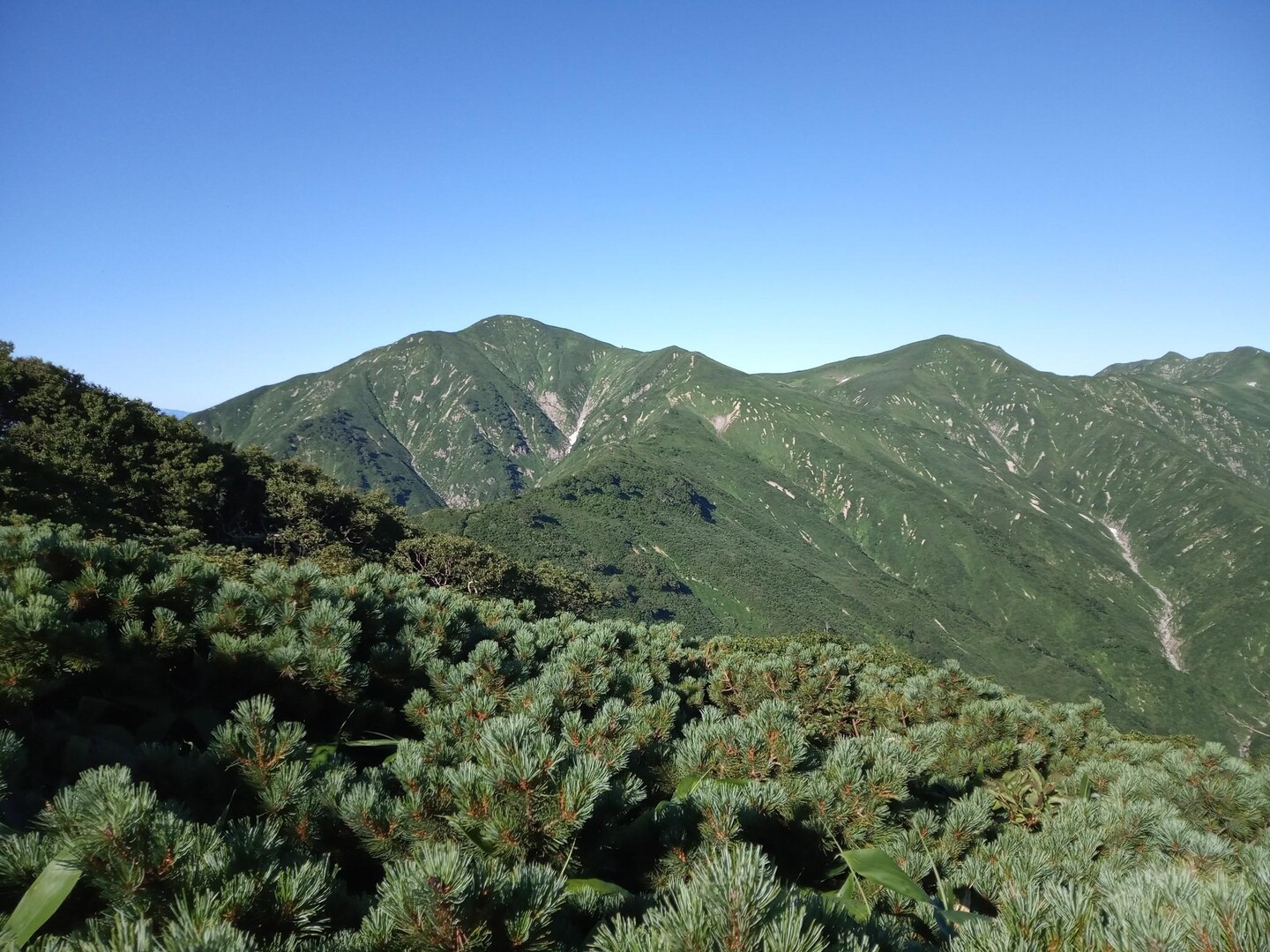 大朝日岳20230811 / URJさんの大朝日岳・朝日連峰・祝瓶山の活動データ | YAMAP / ヤマップ