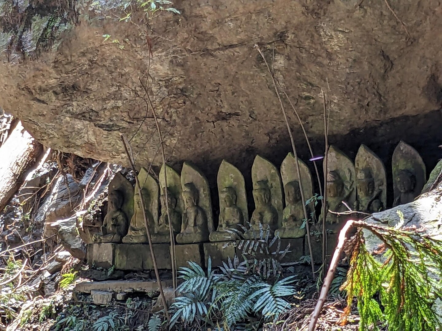 豪雨後の石仏群を確認 / mkhkさんの高良山・発心山・鷹取山の活動日記 | YAMAP / ヤマップ