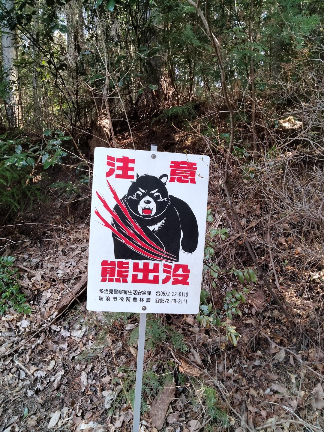 八百山・屏風山・北屏風山 / hora_cyanさんの屏風山の活動データ | YAMAP / ヤマップ