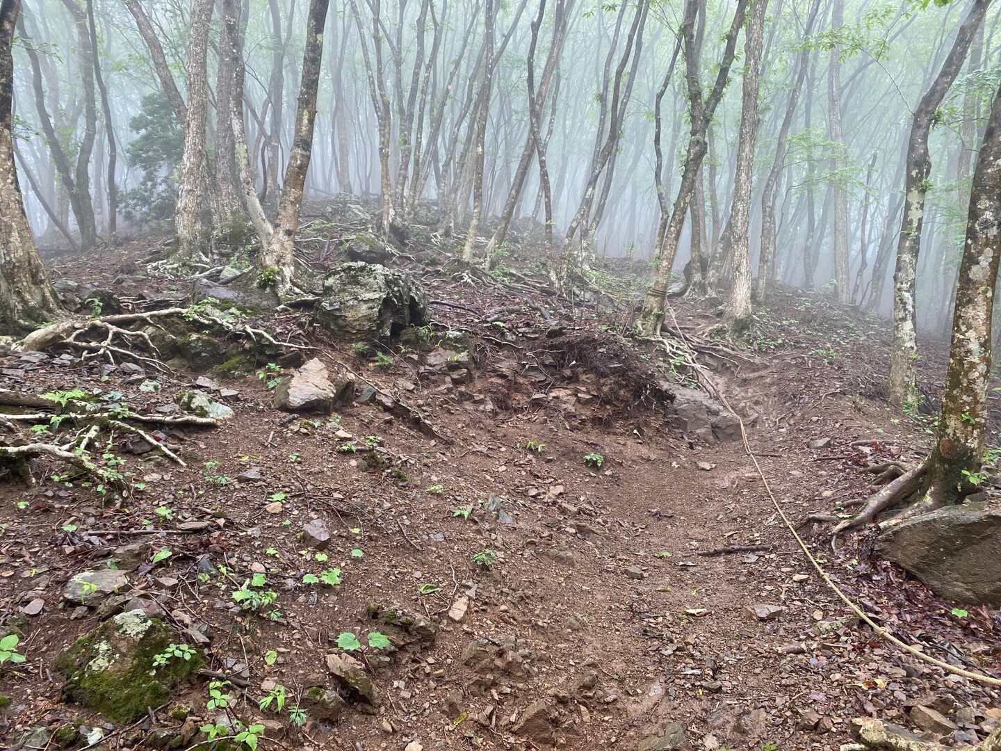 Water Rabbitさんの投稿したフィールドメモ | YAMAP / ヤマップ