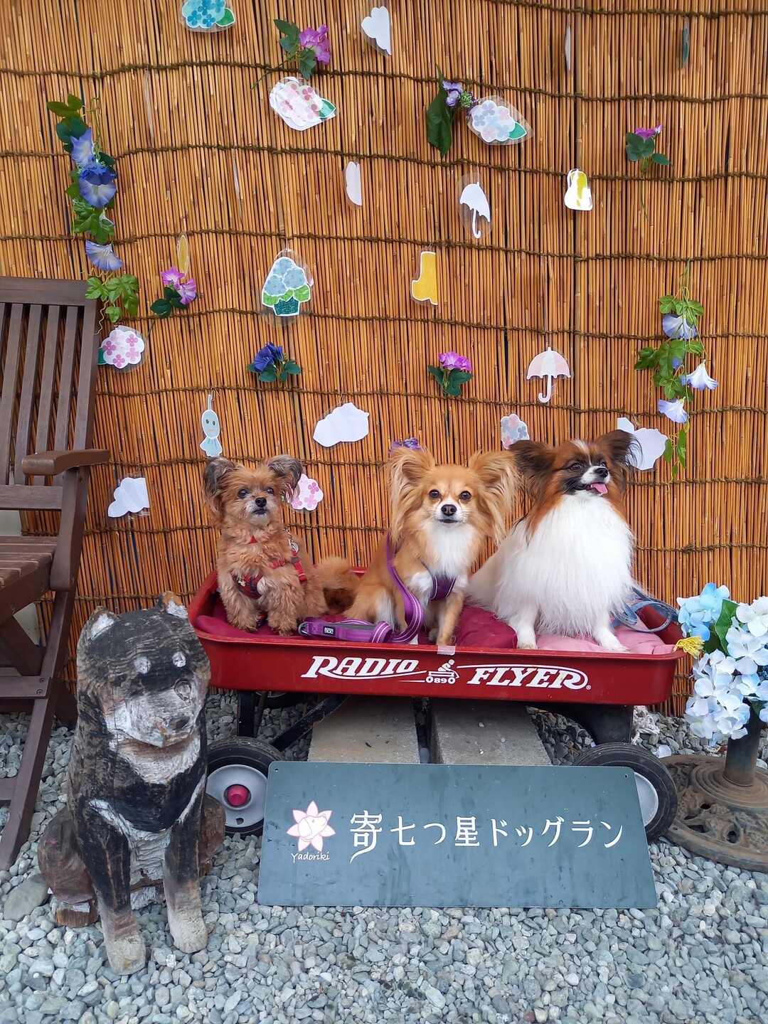 寄七つ星ドッグラン 鍋割山に登る時、新松... / ayakootaさんのモーメント | YAMAP / ヤマップ