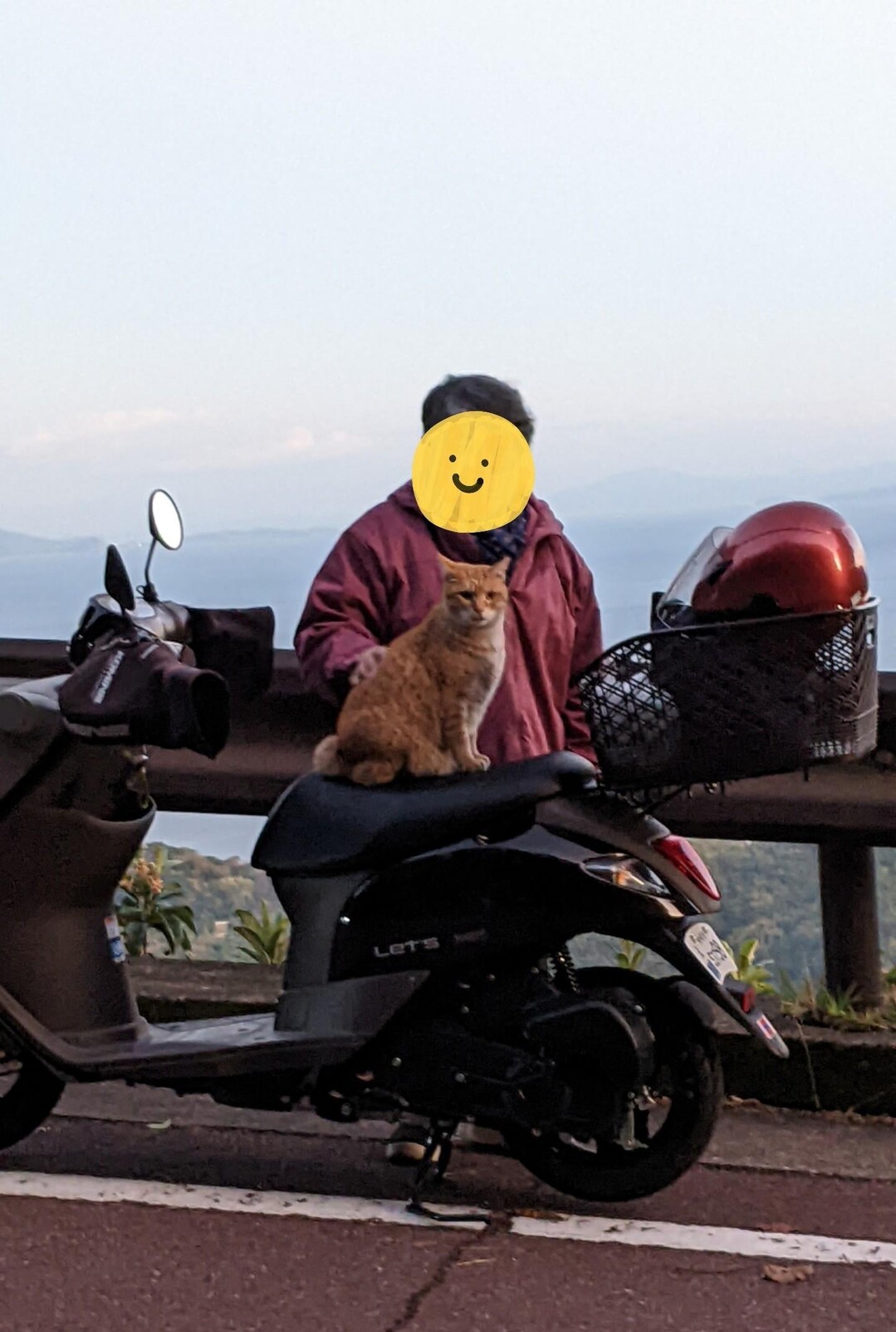 勤労感謝の猫🐱 毎日のご飯、👵おばち... / by hideさんのモーメント | YAMAP / ヤマップ