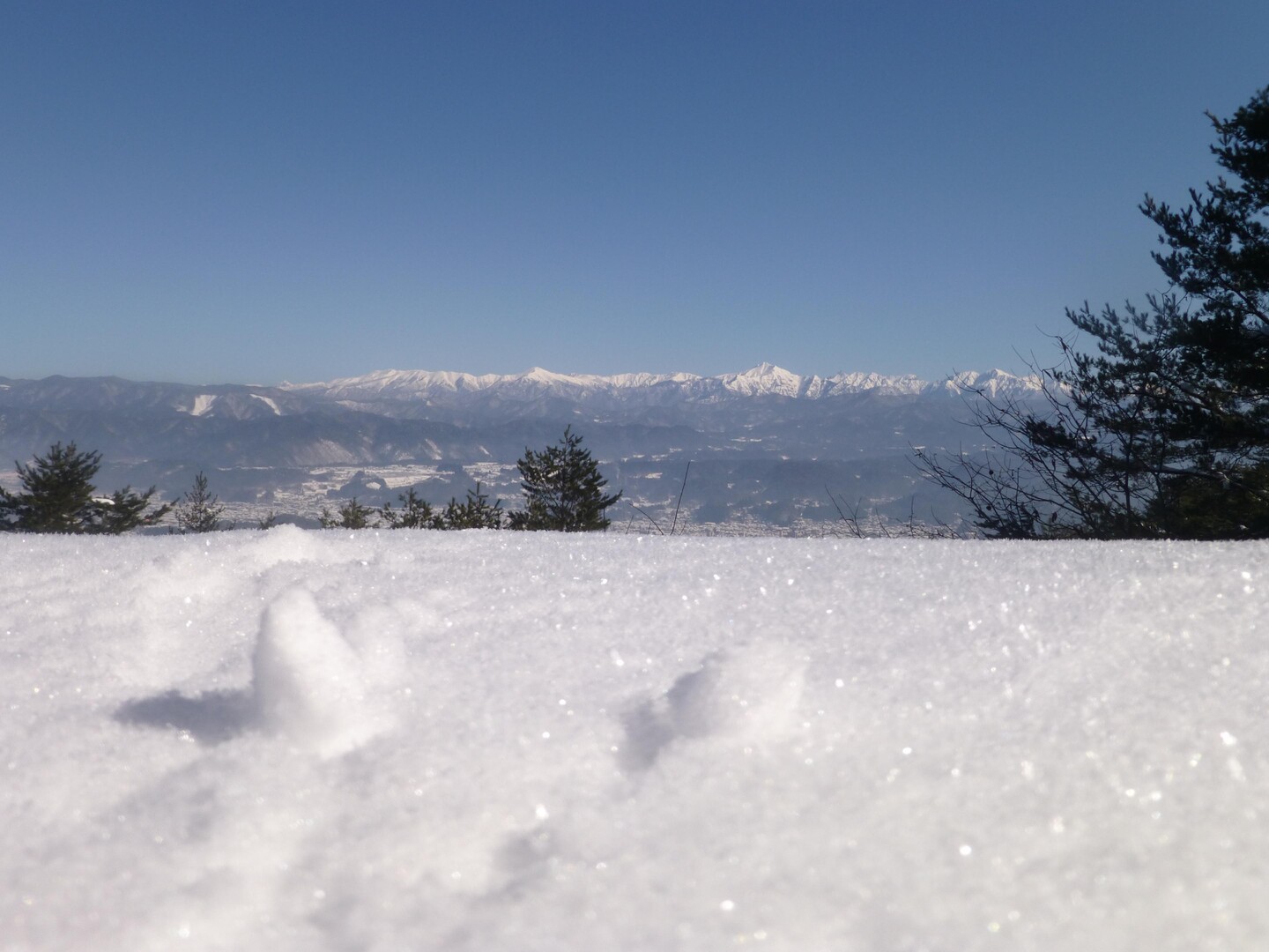 原山・松倉山 / takanoさんの松倉山・原山の活動データ | YAMAP / ヤマップ