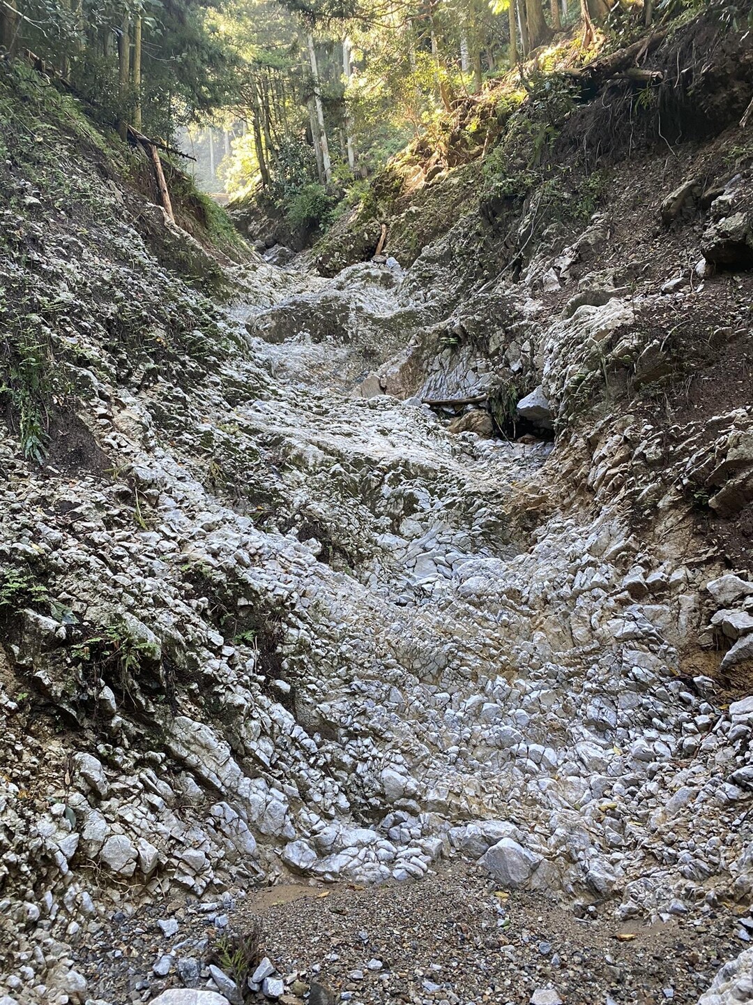 Moonkeyさんの投稿したフィールドメモ | YAMAP / ヤマップ