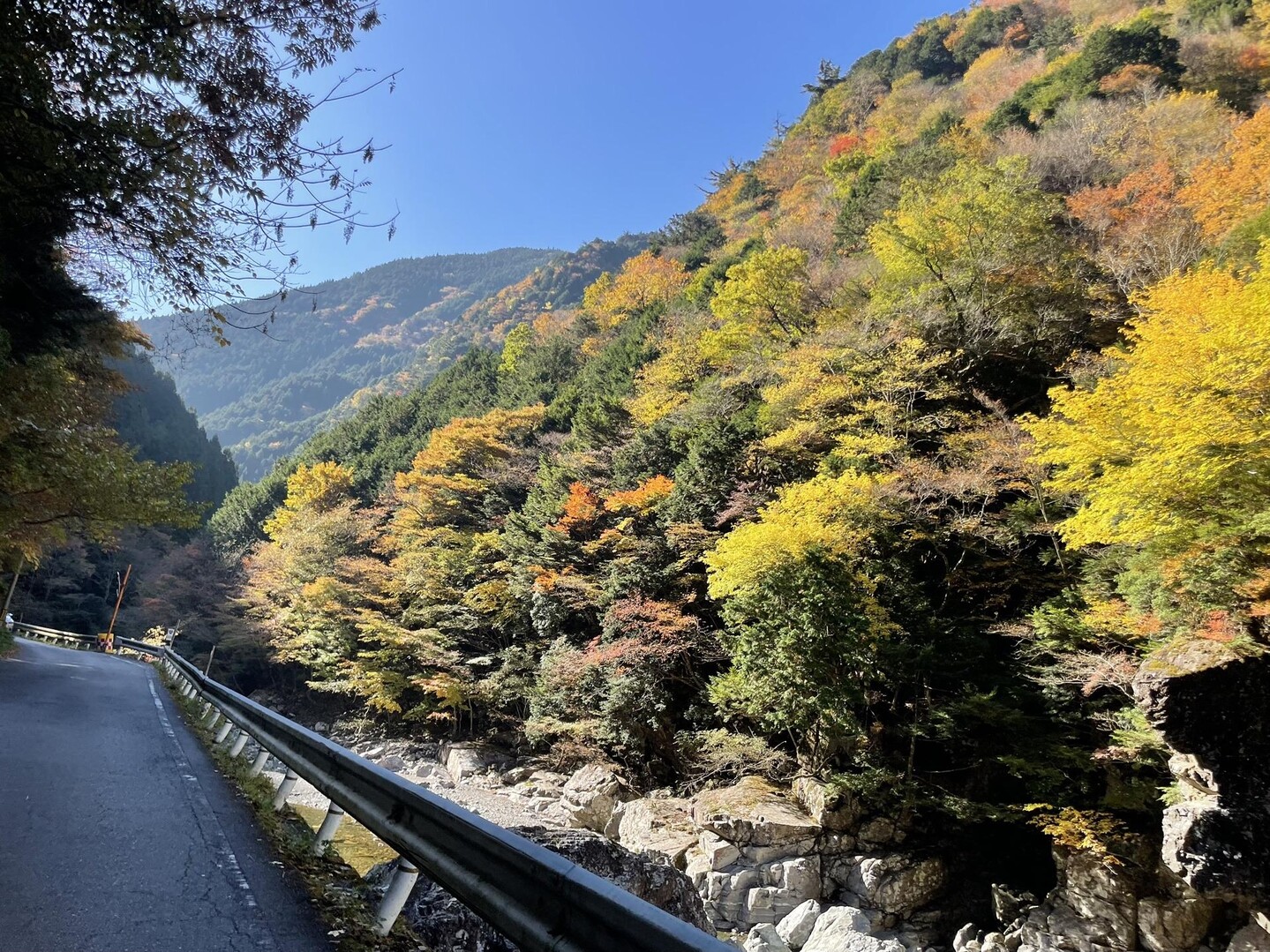 紅葉沢登り（本年ラスト）2023.11.3 / Andyさんのウォーキングの活動データ | YAMAP / ヤマップ