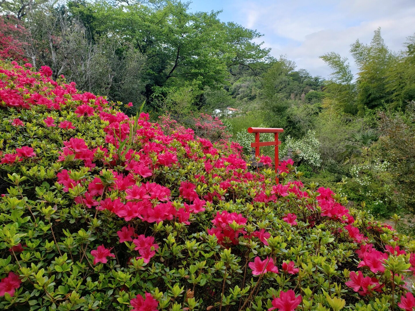 花見山からの～十万劫山 / Kichyさんの十万劫山の活動データ | YAMAP / ヤマップ