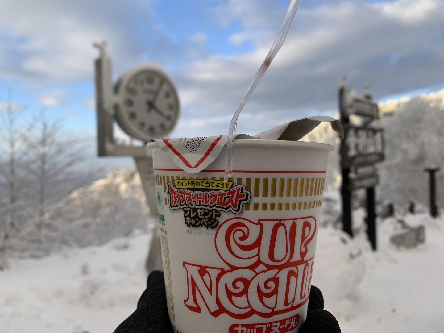 金剛山(本道↑本道城址↓) / hancho_tksさんの金剛山・二上山・大和葛城山の活動データ | YAMAP / ヤマップ