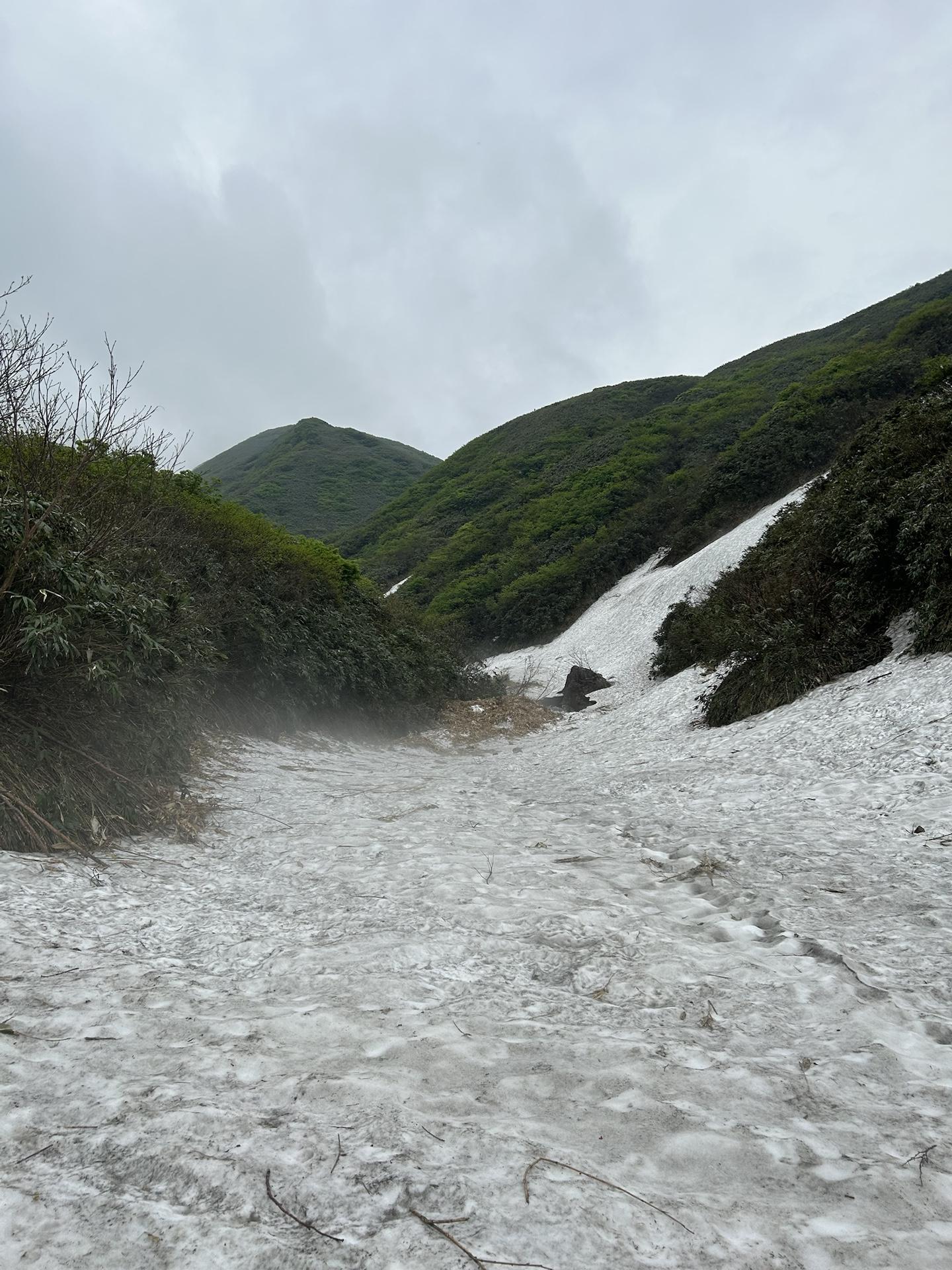 今年初の月山筍採り、K2の1つ。キケンは... / Takitaro Jr.さんのモーメント | YAMAP / ヤマップ