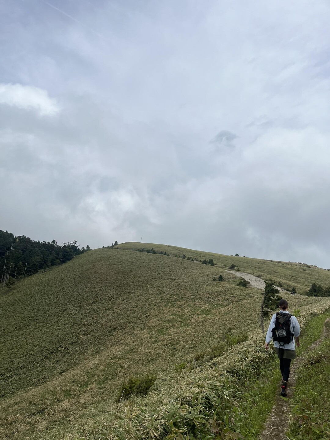 富士見台・神坂山 / mizuさんの恵那山・大判山・神坂山の活動データ | YAMAP / ヤマップ