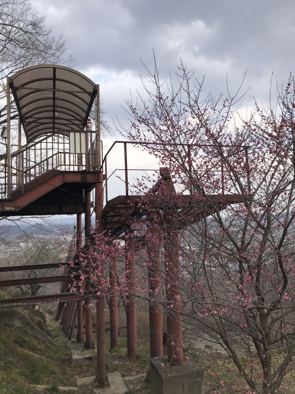 🐾犬連れ🐾 船岡城址公園 -2021-02-20 / AL_Maxさんの羽山の活動日記 | YAMAP / ヤマップ