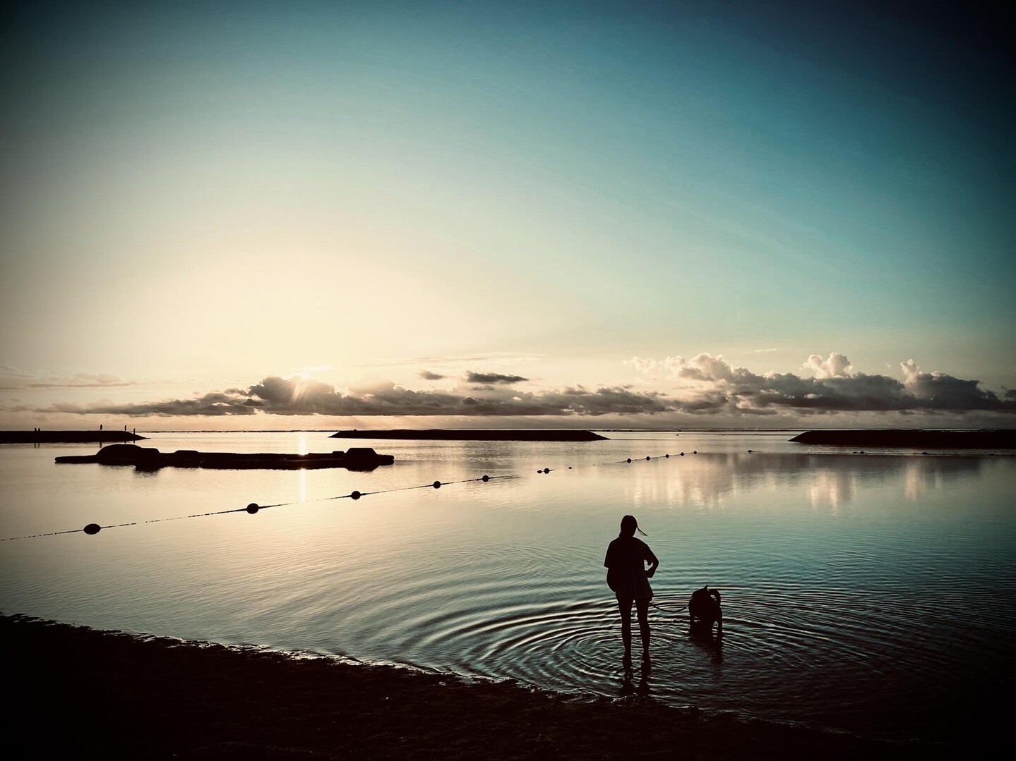 本邦でほぼ最も遅い石垣島の日の出 100... / foliageさんのモーメント | YAMAP / ヤマップ