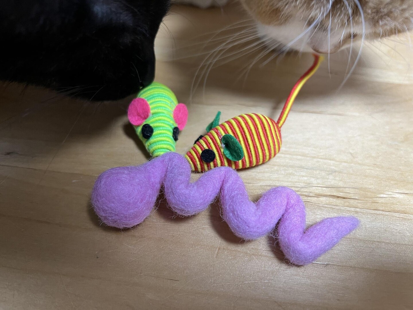 今日は寒かったねー にゃんずにおもちゃ買... / なっちゃん🍎さんのモーメント | YAMAP / ヤマップ