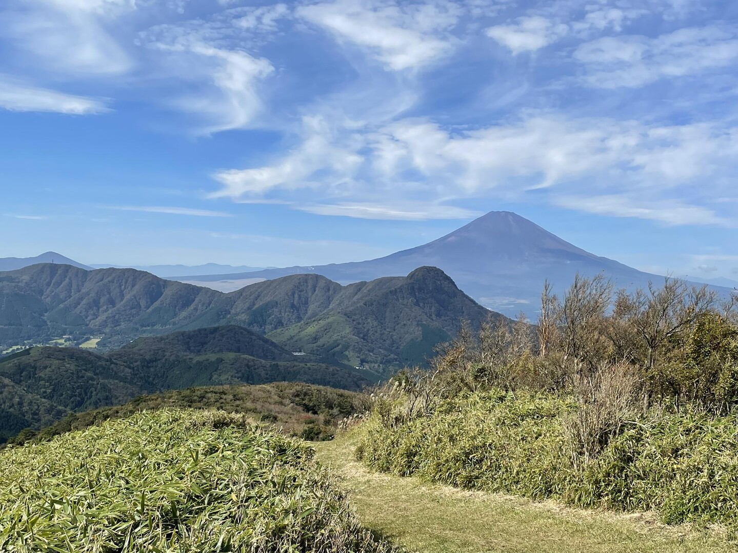 金時山〜明神ヶ岳 / chi_sanさんの金時山・明神ヶ岳の活動データ | YAMAP / ヤマップ