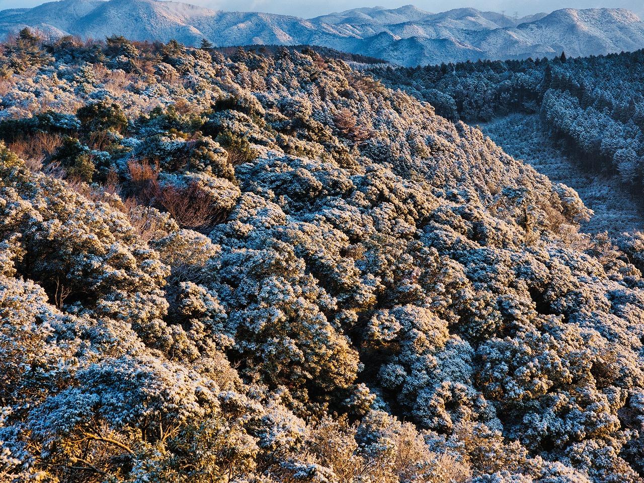 3.19・・・魚野降雪薄化粧 http... / sin358さんのモーメント | YAMAP / ヤマップ