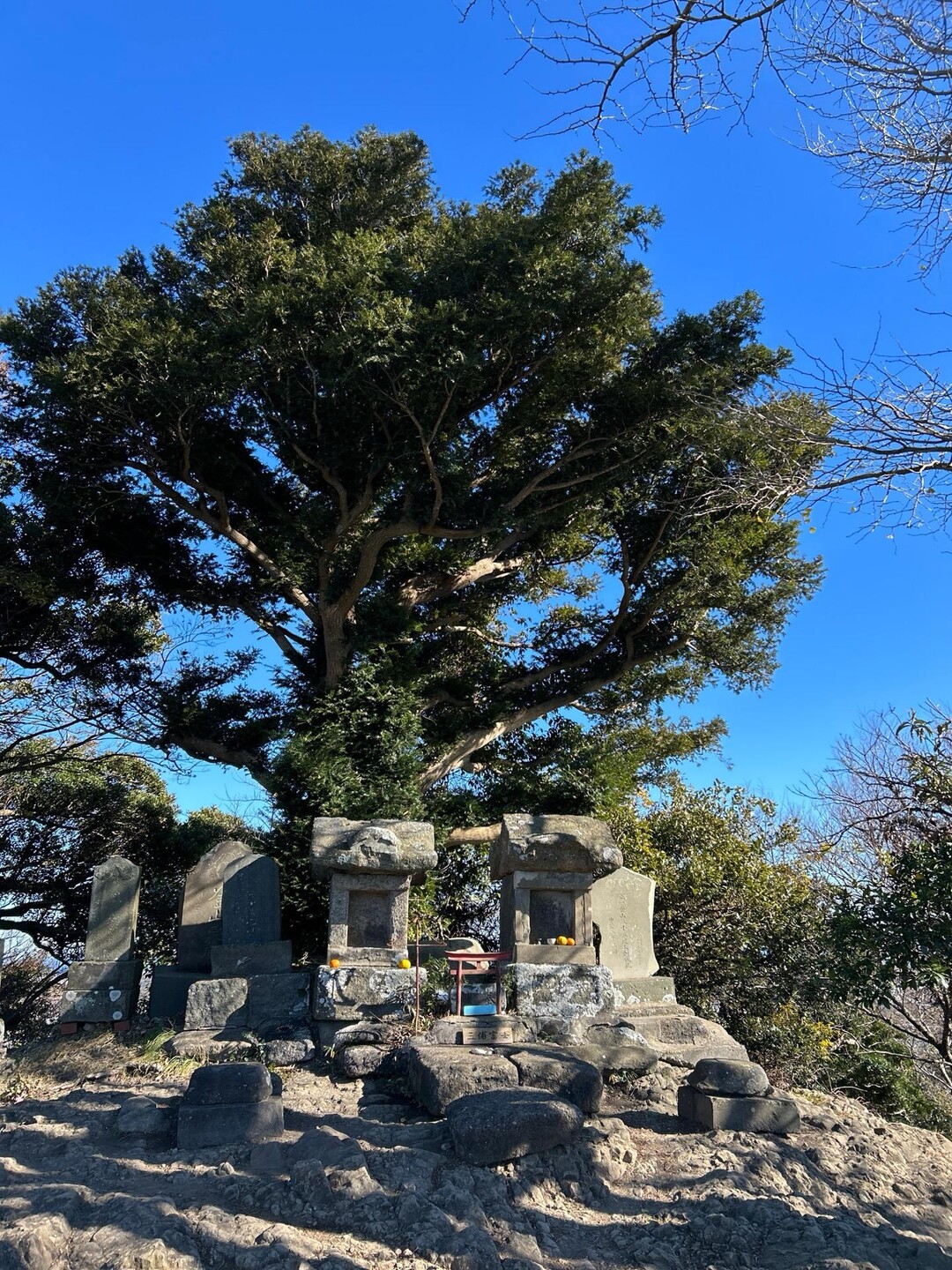 富士山（三浦富士）・砲台山・武山 / ritocotoさんの大楠山・武山・三浦富士の活動データ | YAMAP / ヤマップ
