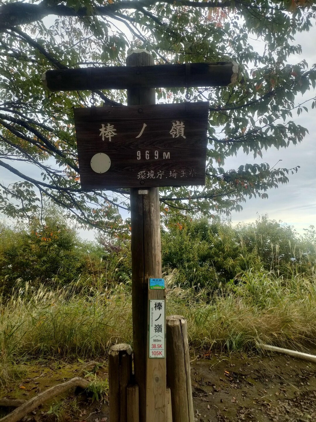 青梅駅〜棒ノ嶺〜川井駅★トレラン / Mt.Marioさんの高水山・岩茸石山・惣岳山の活動データ | YAMAP / ヤマップ