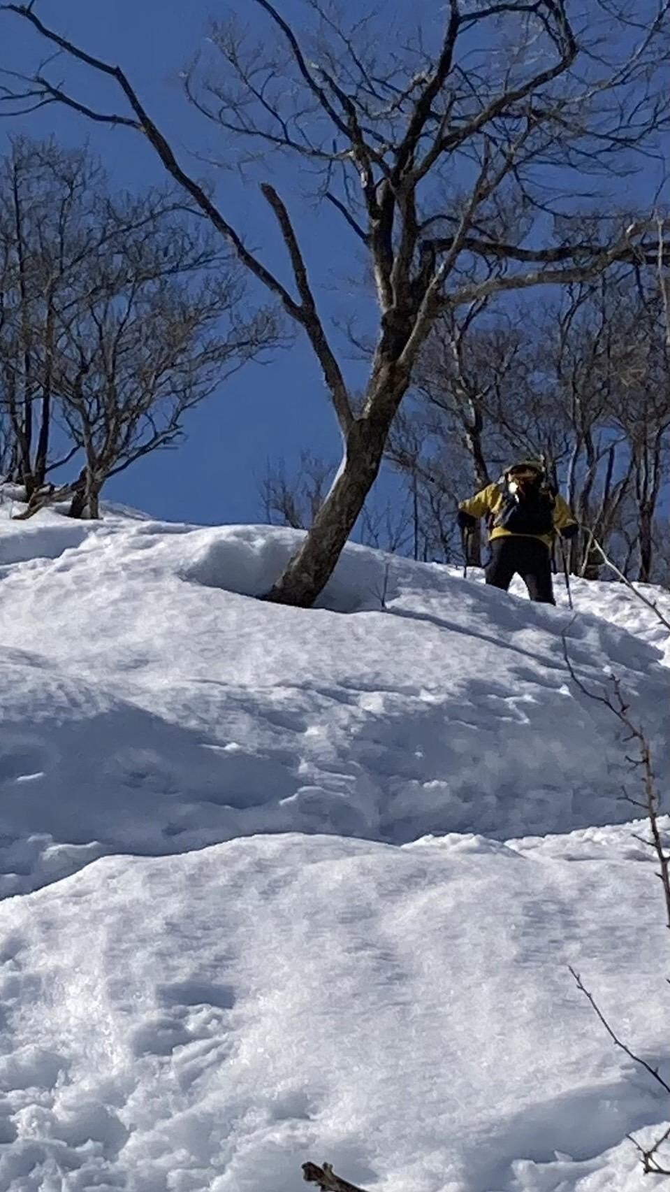 人気 蛇谷ヶ峰 雪山に遊ぶ😊 / 山坊主 さんの蛇谷ヶ峰の活動日記 | YAMAP / ヤマップ