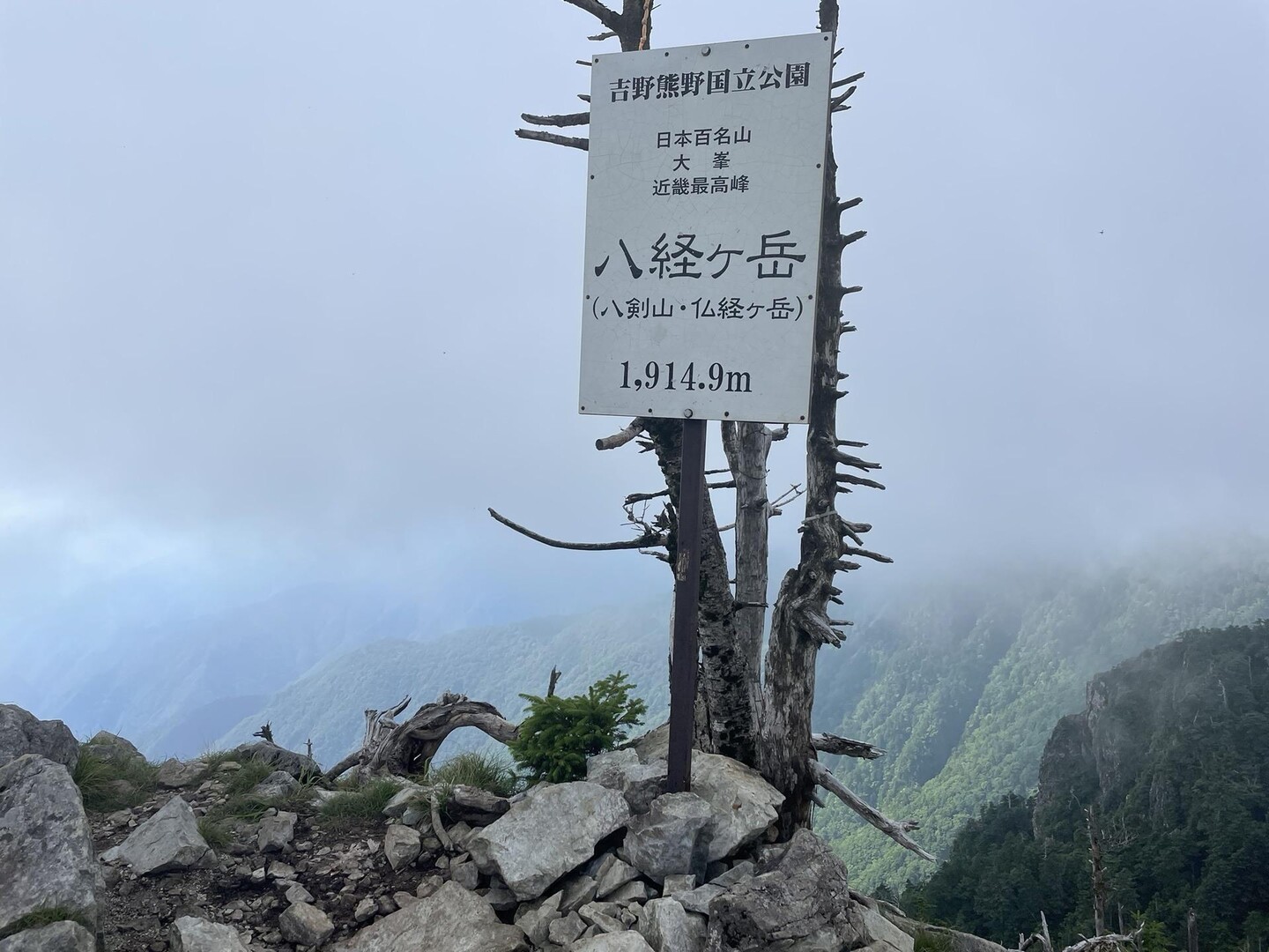 日帰り百名山☀︎八経ヶ岳 / Ben Abeさんの八経ヶ岳の活動データ | YAMAP / ヤマップ