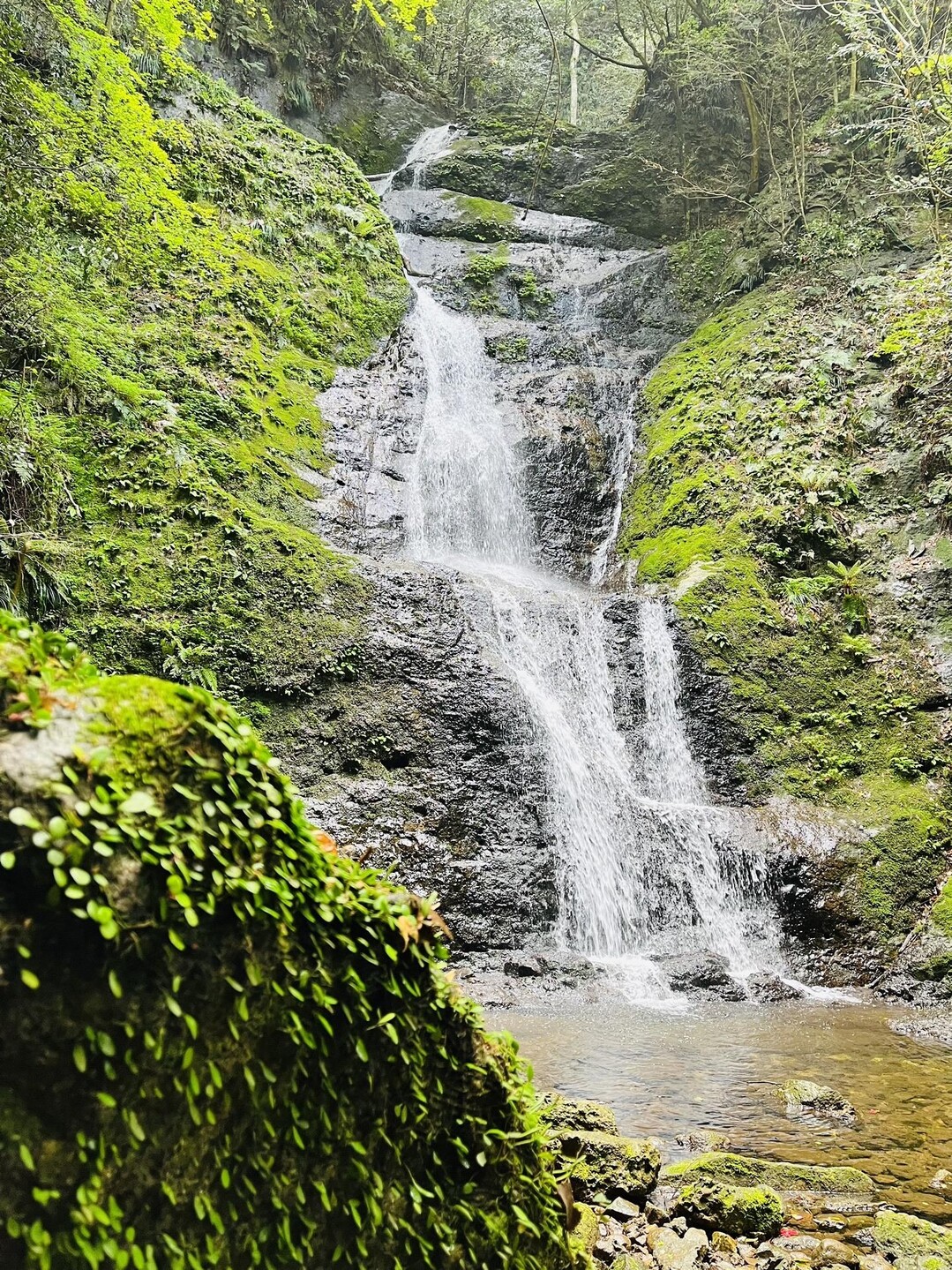 槙尾山・奥槇尾山 / Mt.top山さんの槇尾山（槙尾山）・和泉葛城山・神於山の活動データ | YAMAP / ヤマップ