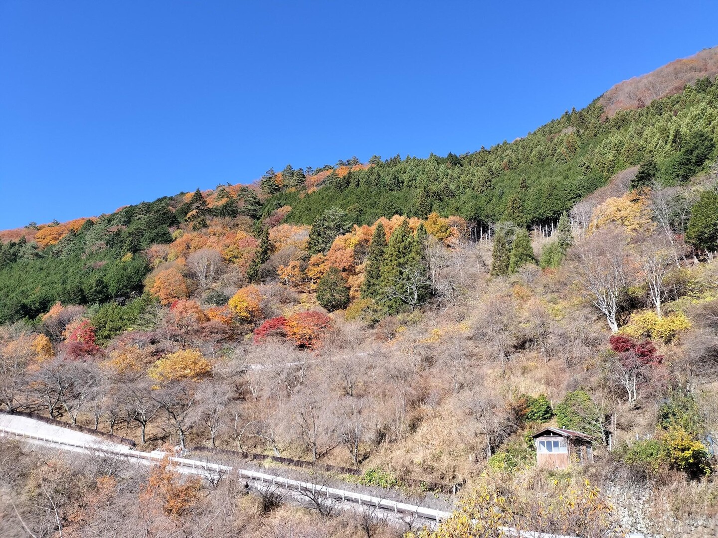 鷹ノ巣山（峰谷BS〜奥多摩ST） / ヤスさんの雲取山・鷹ノ巣山・七ツ石山の活動データ | YAMAP / ヤマップ