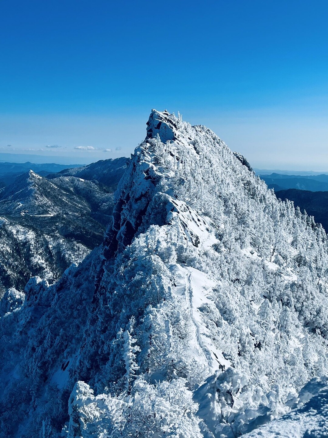 前社ヶ森・剣山・石鎚山 / yu.taさんの石鎚山・堂ヶ森・二ノ森の活動データ | YAMAP / ヤマップ