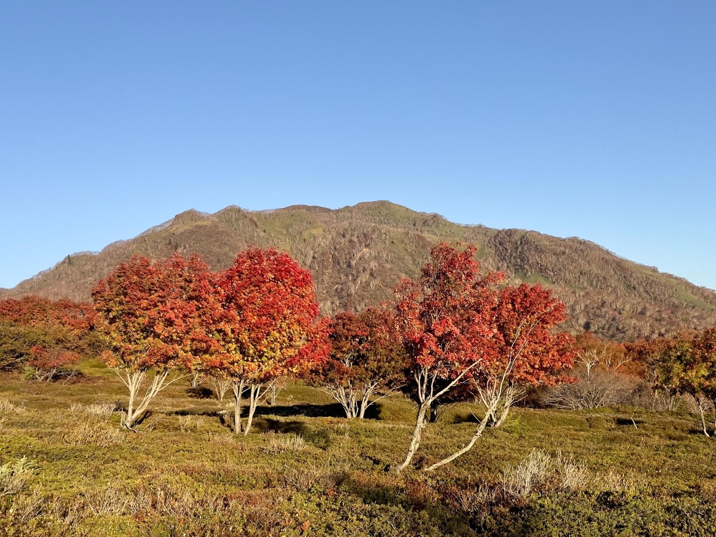 北山(932峰)・樽前山(西山)・樽前山（東山） / ヨースケさんの樽前山・風不死岳の活動日記 | YAMAP / ヤマップ