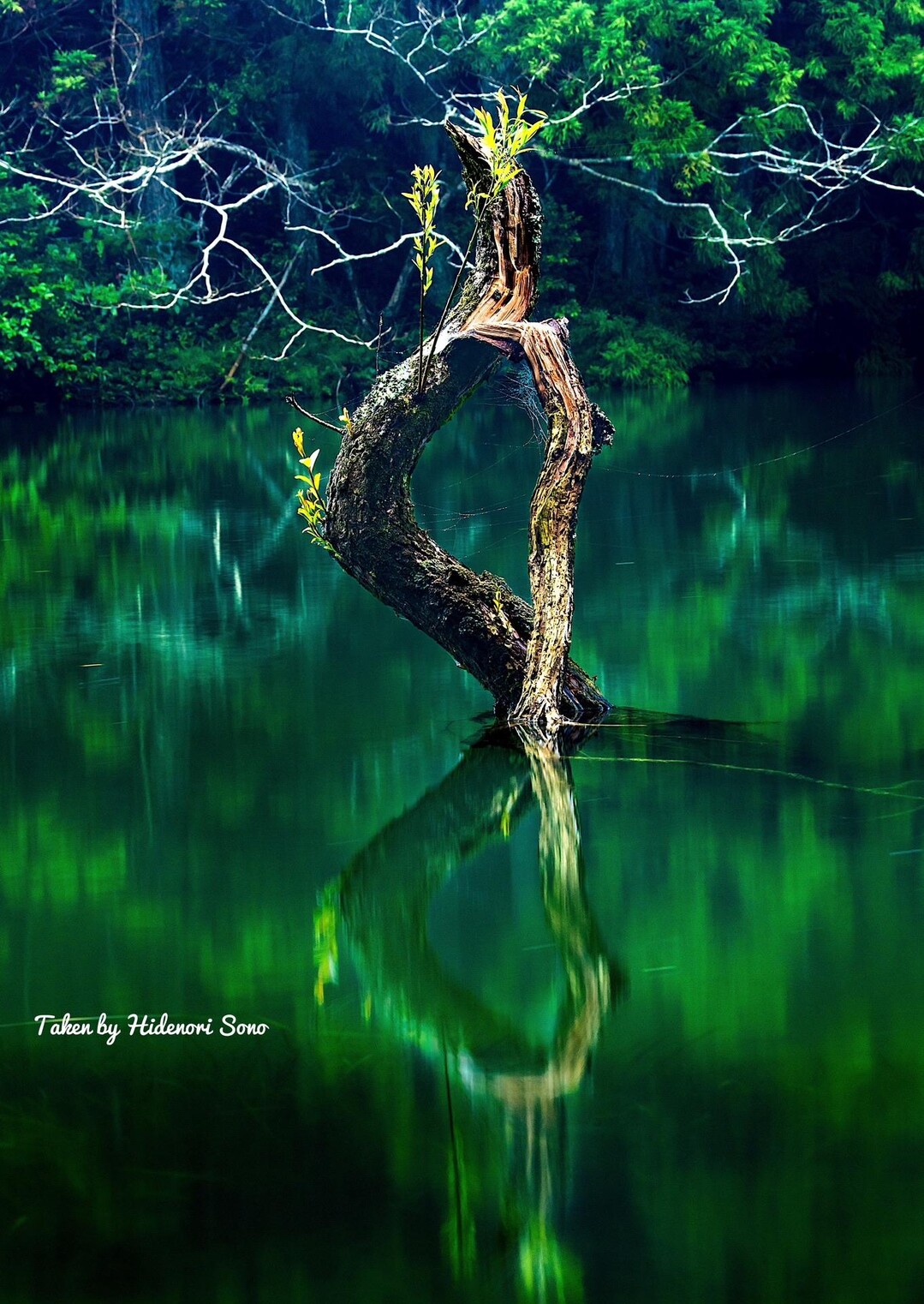 皆さん、ご無沙汰してます。 久しぶりに... / Studio-O’nosさんのモーメント | YAMAP / ヤマップ