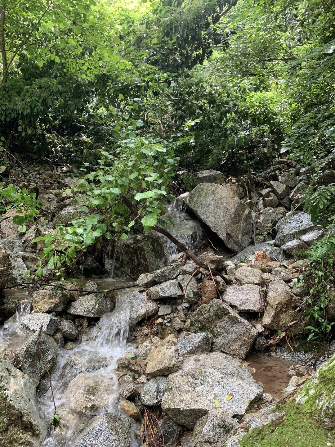 rock-onさんの投稿したフィールドメモ | YAMAP / ヤマップ