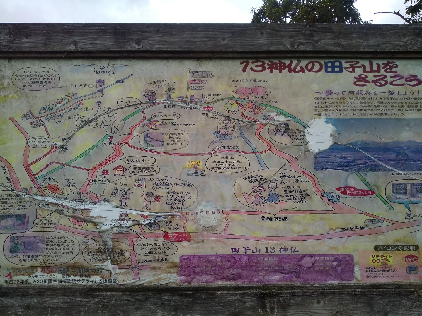 田子山 / みっち3Mさんの田子山の活動データ | YAMAP / ヤマップ