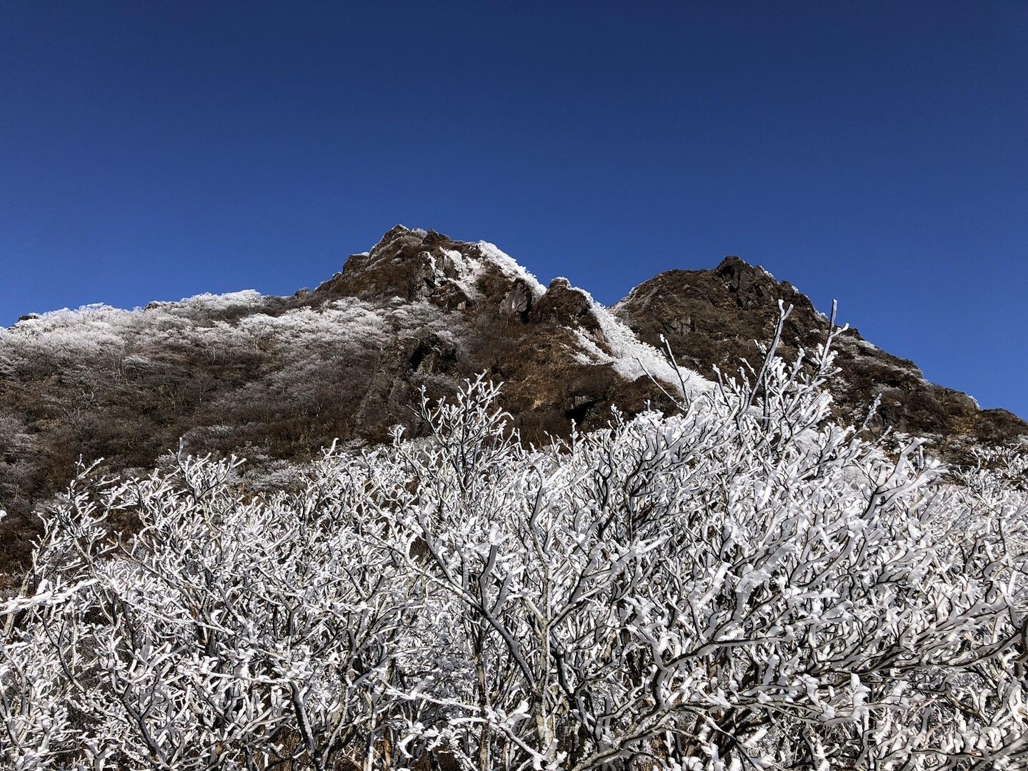 月イチ由布岳 今季初霧氷&霧氷納め 東登... / Coki-aさんのモーメント | YAMAP / ヤマップ
