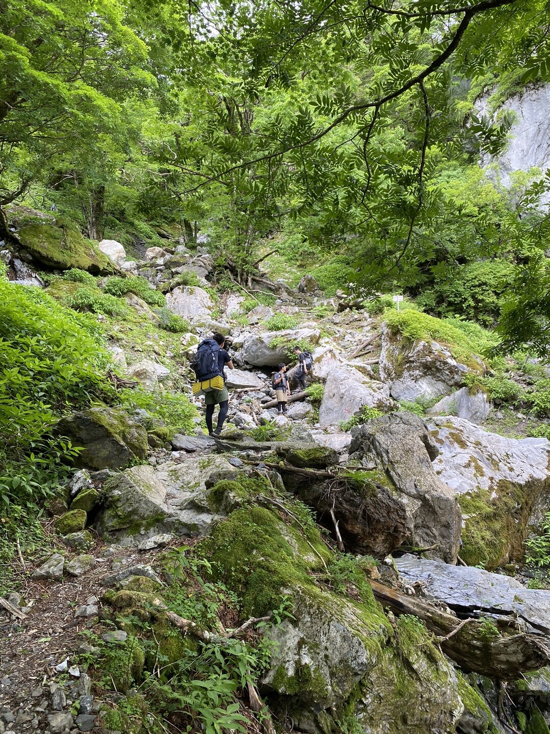 一ノ森・二ノ森・剣山・次郎笈 / 剣山の写真1枚目 | YAMAP / ヤマップ