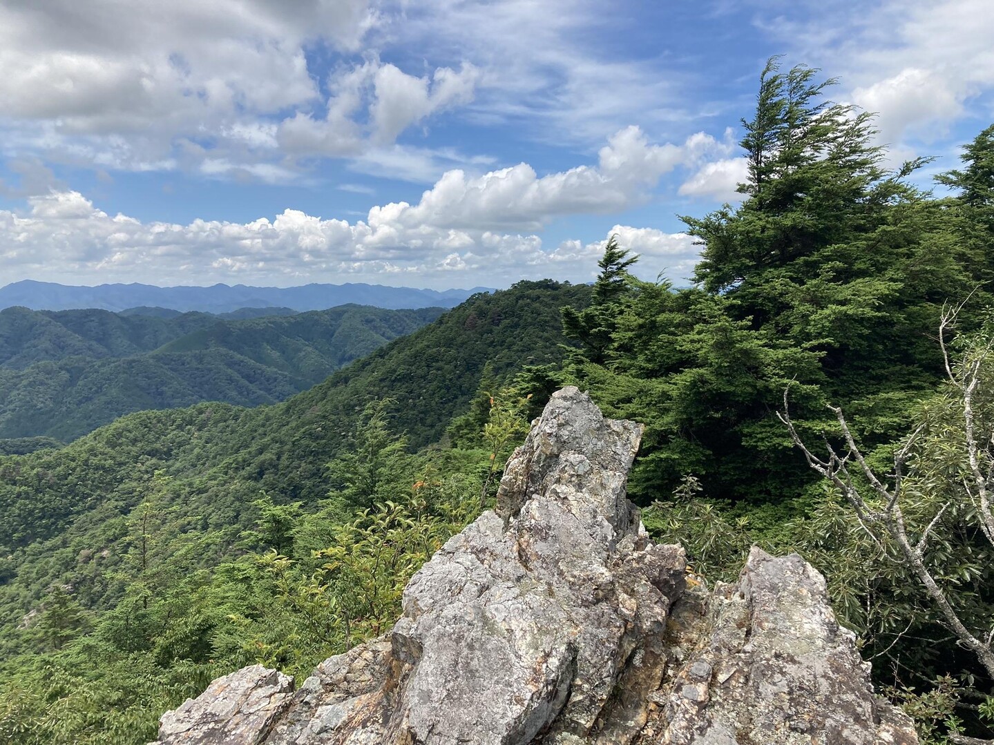 丹波篠山 筱見四十八滝と八ヶ尾山 / Sagittariusさんの御嶽（三嶽）・小金ヶ嶽・西ヶ嶽の活動データ | YAMAP / ヤマップ